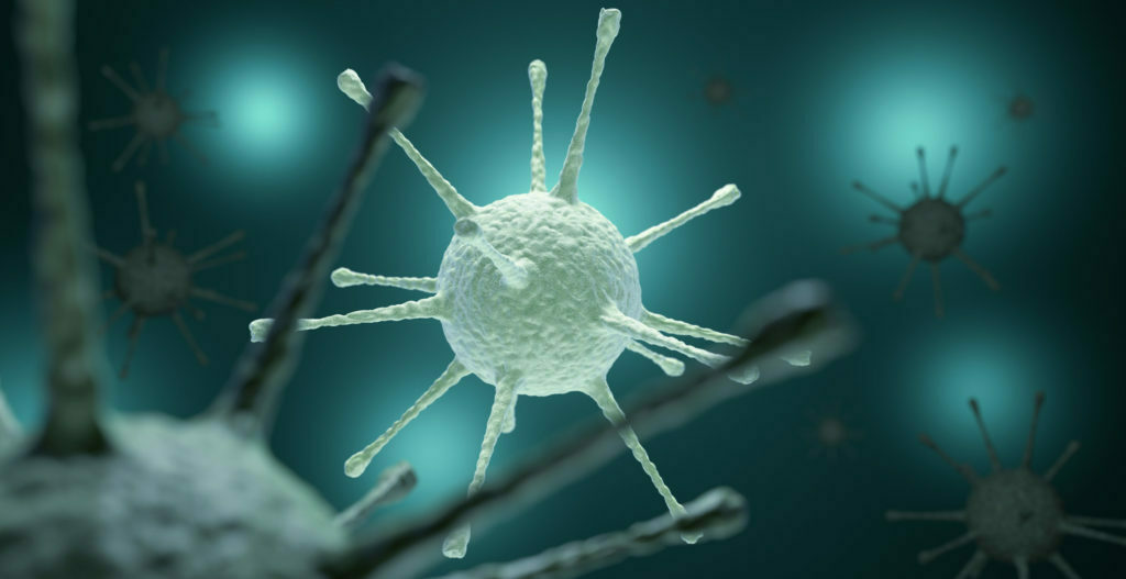 The Top Germs That Cause Infection | Women Of Philosophy